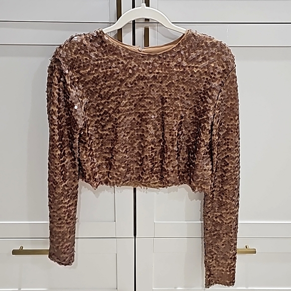 Zara | Tops | Zara Bronze Crop Sequin Top | Poshmark